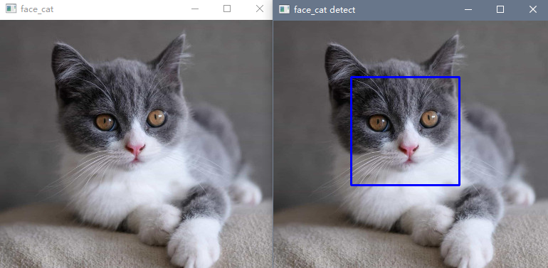 【OpenCV-Python】32.OpenCV的人脸检测和识别——人脸检测_frontalcatface-CSDN博客