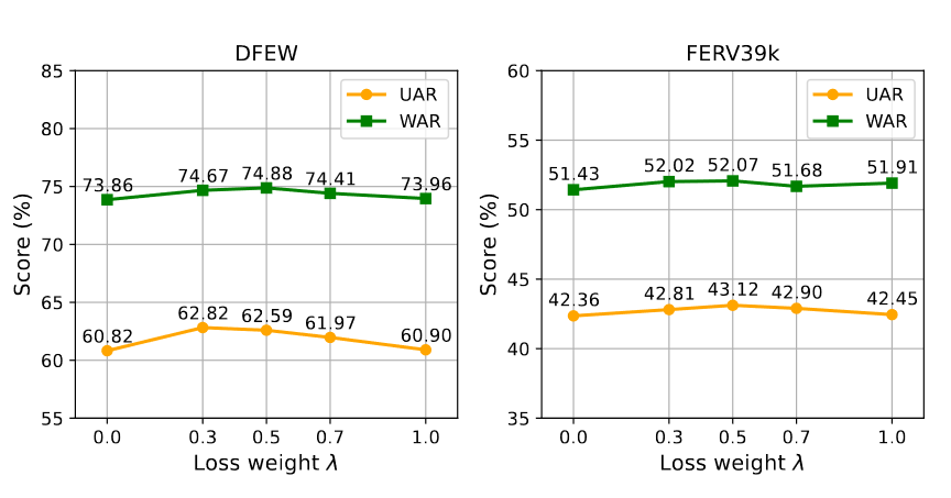 MAE-DFER: Efficient Masked Autoencoder for Self-supervised Dynamic ...