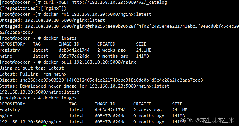 docker私有仓库建立_docker pull 指定仓库地址-CSDN博客