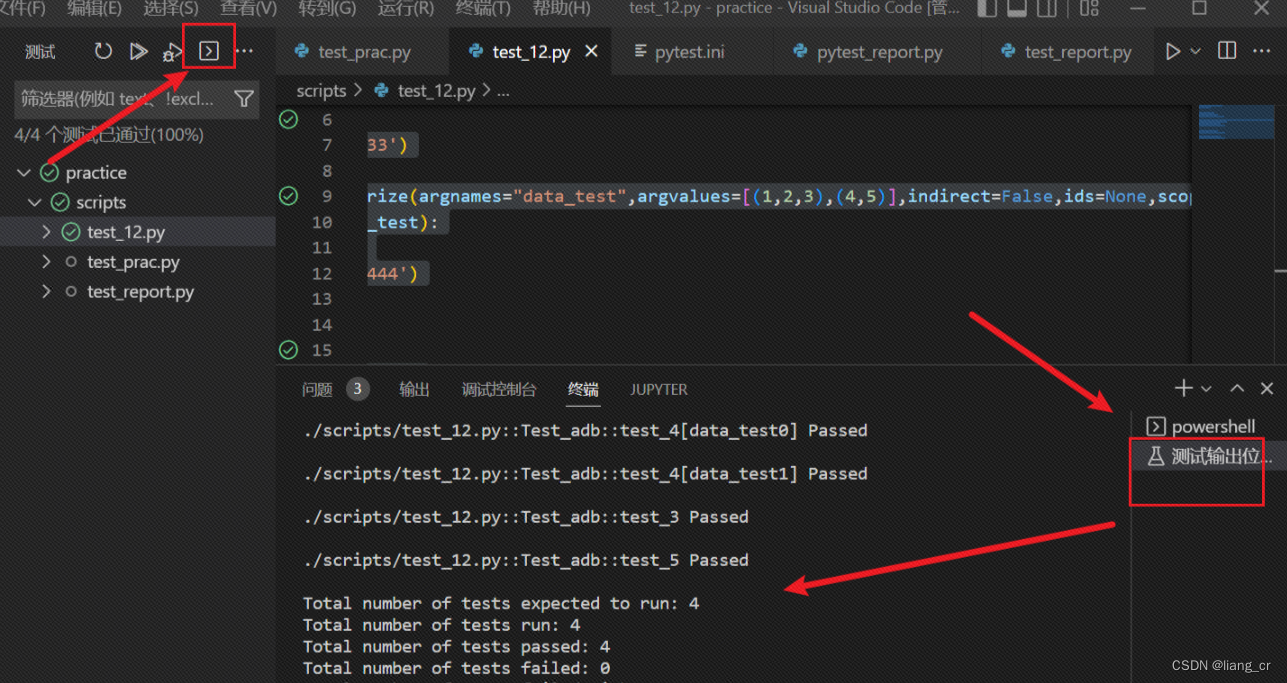 pytest的使用_pytest使用-CSDN博客