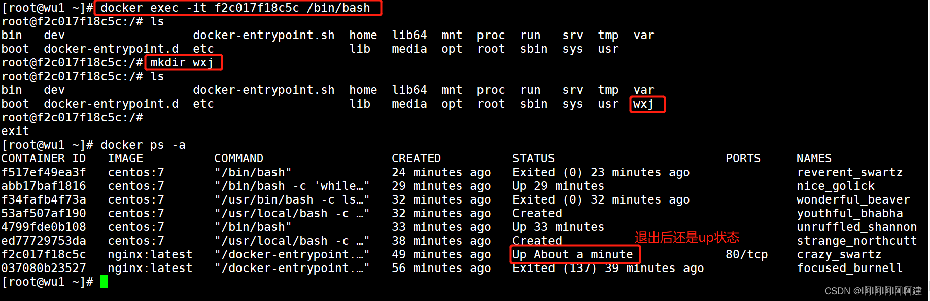Docker镜像&容器操作_docker通过镜像创建容器的位置-CSDN博客