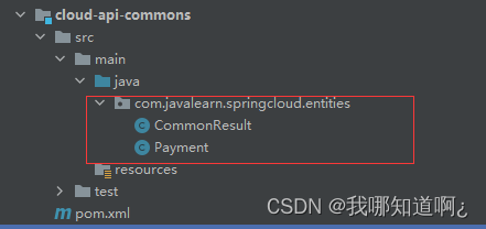 java学习之springcloud之服务注册与发现篇_java注册与发现-CSDN博客