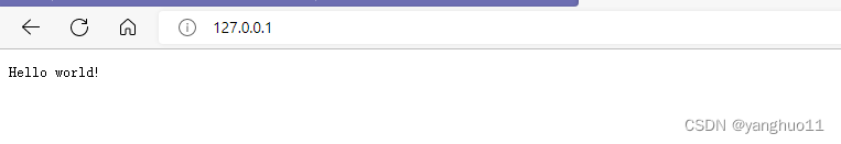 nginx 官方的脚本njs环境搭建和使用_njs如何使用-CSDN博客