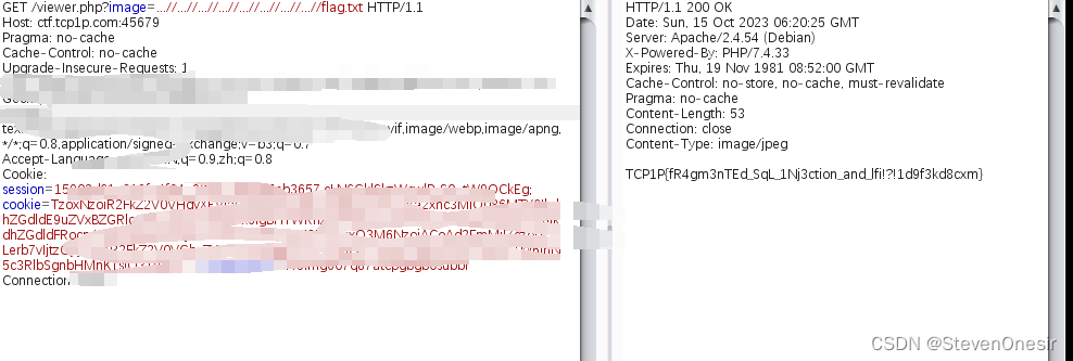 TCP1P CTF 2023 Writeup_tcp报文 ctf-CSDN博客