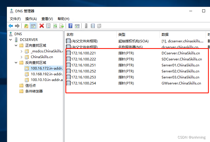 Windows server 2019 配置 DNS_windows server 2019配置dns-CSDN博客