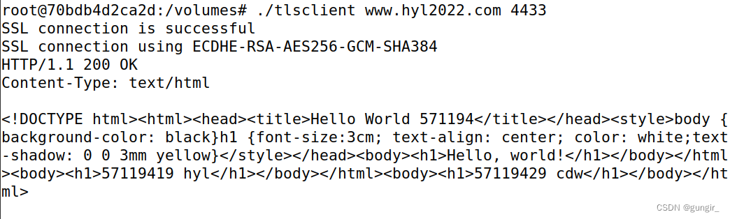seedlab:Virtual Private Network Lab-CSDN博客
