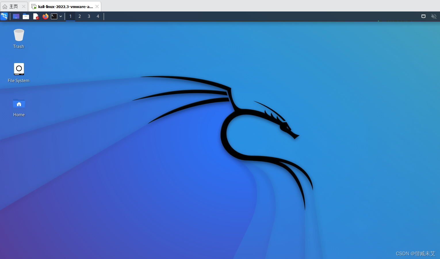 Kali Linux安装-CSDN博客