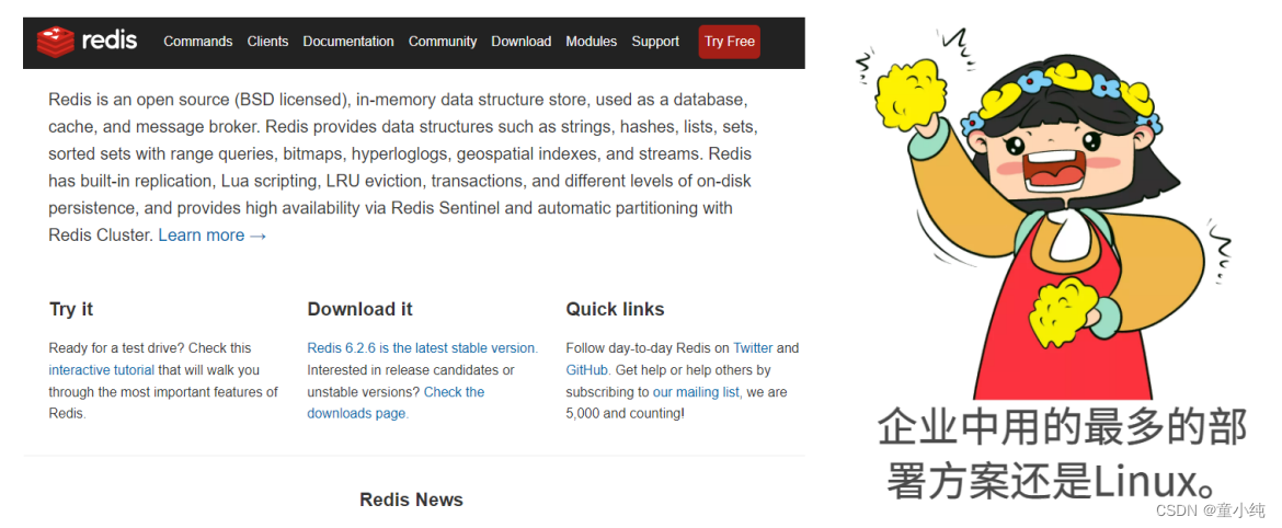 Redis【为什么要用NoSQL、什么是NoSQL、Redis是什么 、Linux下安装Redis 、Docker下安装Redis】(一)-全面详解（学习总结---从入门到深化）_redis ...