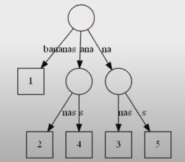 串之Ukkonen、Rabin_karp算法_ukkonen's algorithm-CSDN博客