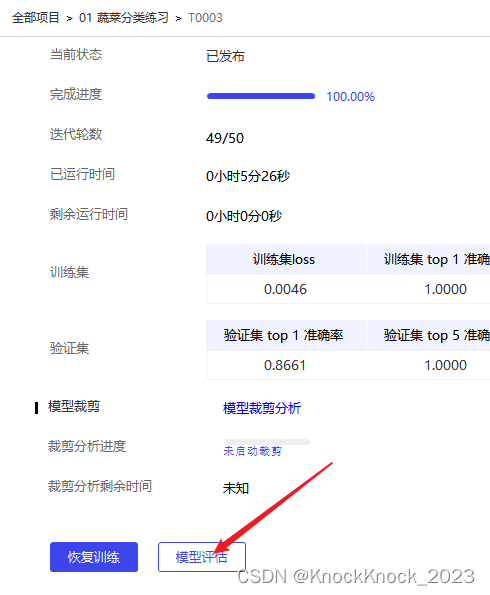 PaddleX入门教程1：利用PaddleX图形化工具进行训练_paddlex1.0模型转换-CSDN博客