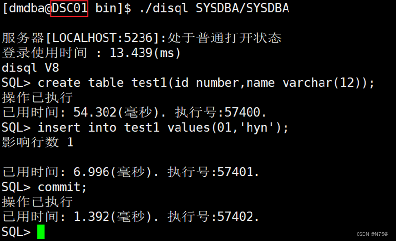 DM8共享存储集群（DMDSC）搭建_dm数据库共享存储集群-CSDN博客