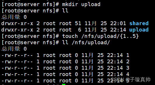 NFS练习_nfs配置练习-CSDN博客