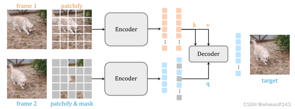 SiamMAE_siamese encode-CSDN博客
