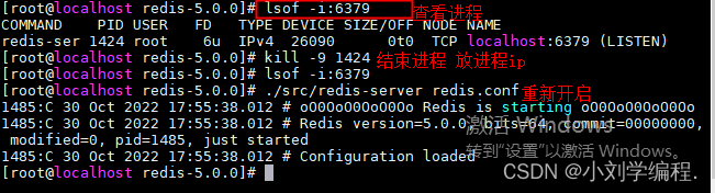 Redis-命令操作Redis_redis守护进程-CSDN博客