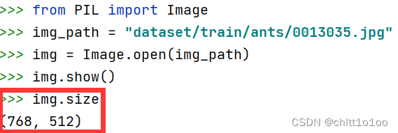 PyTorch学习笔记（一）——Dataset_pytorch 文件名是label 结构化数据-CSDN博客