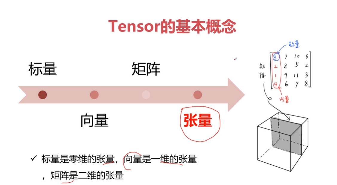 pytorch基础知识之Tensor（1）_indices=tensor-CSDN博客