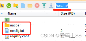 seata安装【使用Docker安装seata】-CSDN博客