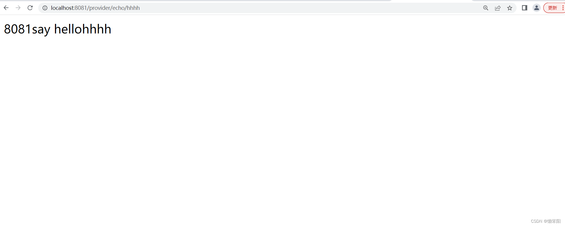Nacos服务注册中心_his_config_info_懂Java的懒阳阳的博客-CSDN博客