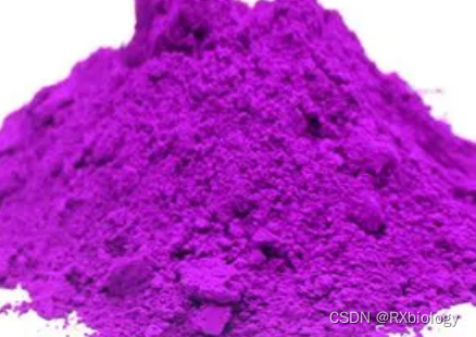 Annexin V-mFluor Violet 510标记，Annexin V-AF594，膜联蛋白修饰荧光染料-CSDN博客