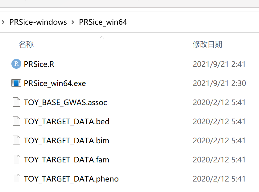 PRSice-2在windows系统安装教程_windows系统prsice安装-CSDN博客