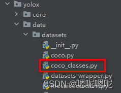 YOLOX训练-COCO格式_yolox训练coco数据集-CSDN博客
