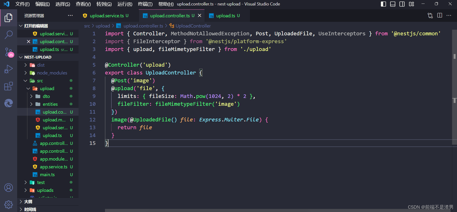一文带你弄懂nest.js文件上传_nestjs 文件上传-CSDN博客