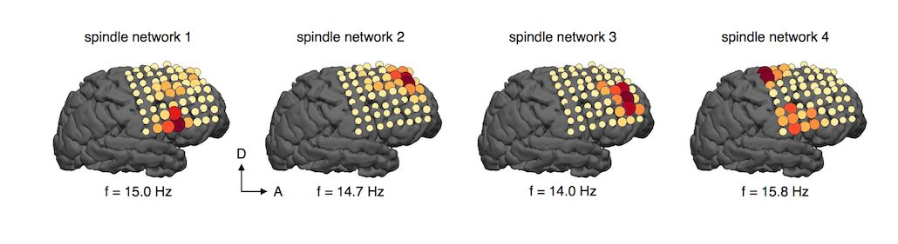 Physics-informed dynamic mode decomposition-CSDN博客