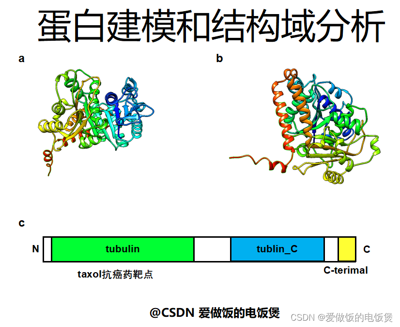 一文了解蛋白功能结构域预测与分析-CSDN博客