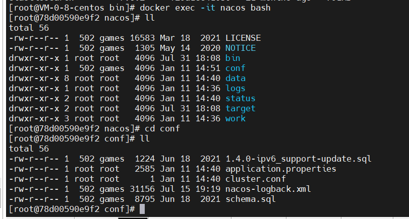 docker安装nacos及springboot项目读取不到nacos配置缘由_springboot读取不到nacos配置-CSDN博客