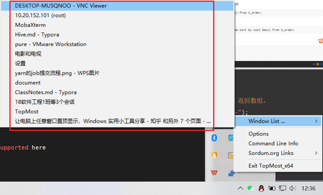 Windows 任意窗口置顶显示_window topmost control-CSDN博客