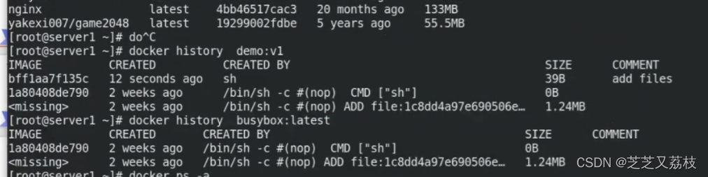 Docker镜像的分层结构、dockerfile的编写及镜像封装优化dockerfile分层打包 Csdn博客