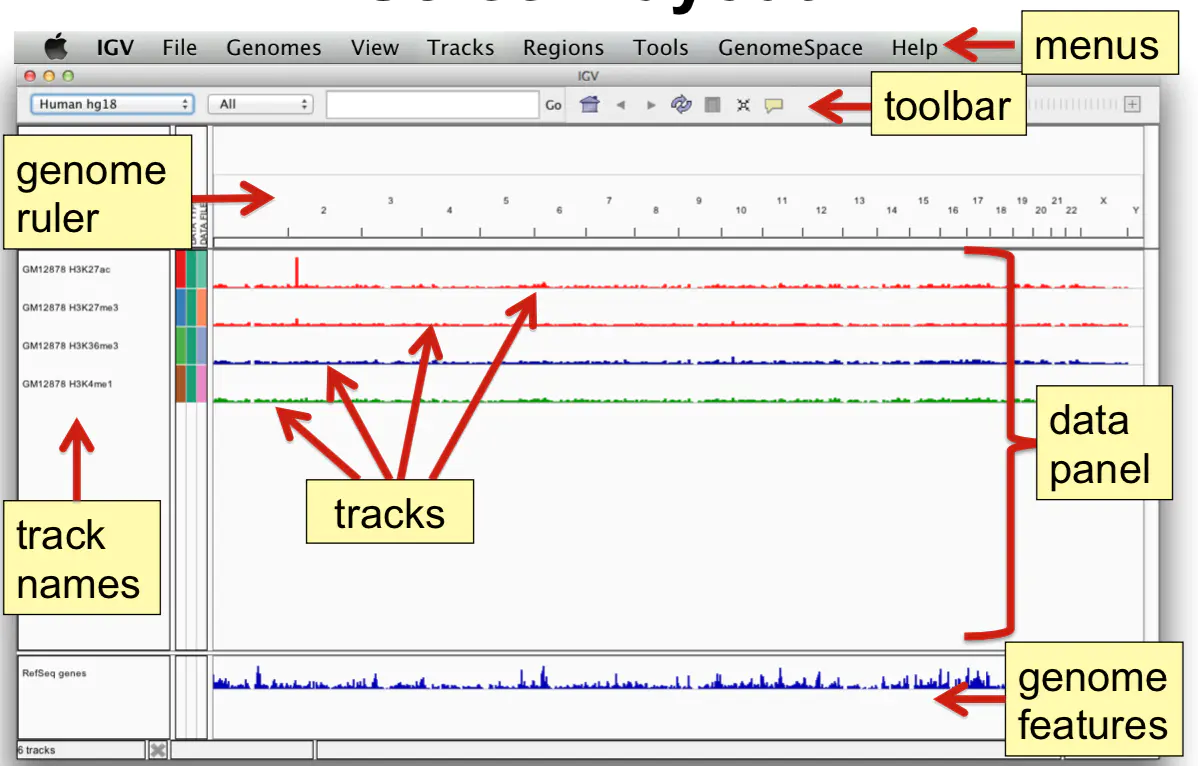 IGV-Introduction_igv error painting datapanel-CSDN博客
