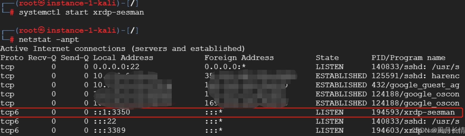 六种方法在云平台和远程桌面中使用Kali_kali gui-CSDN博客