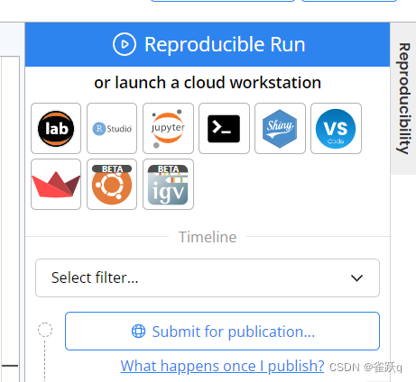 博客摘录「 Code Ocean 上传代码 手把手教程」2023年8月28日_雀跃q的博客-CSDN博客