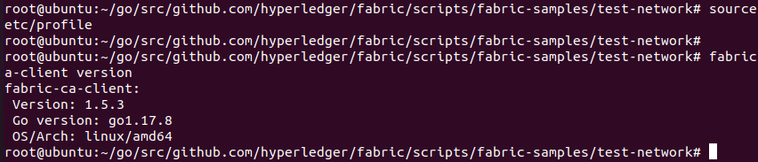 Ubuntu20.04下安装fabric2.4环境 从零开始超详细步骤【亲测有效】及Hyperledger Explorer安装_apt-get install git curl wget ...