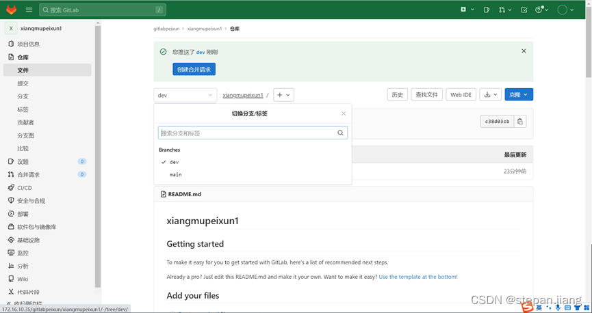 Gitlab分支管理 Csdn博客 