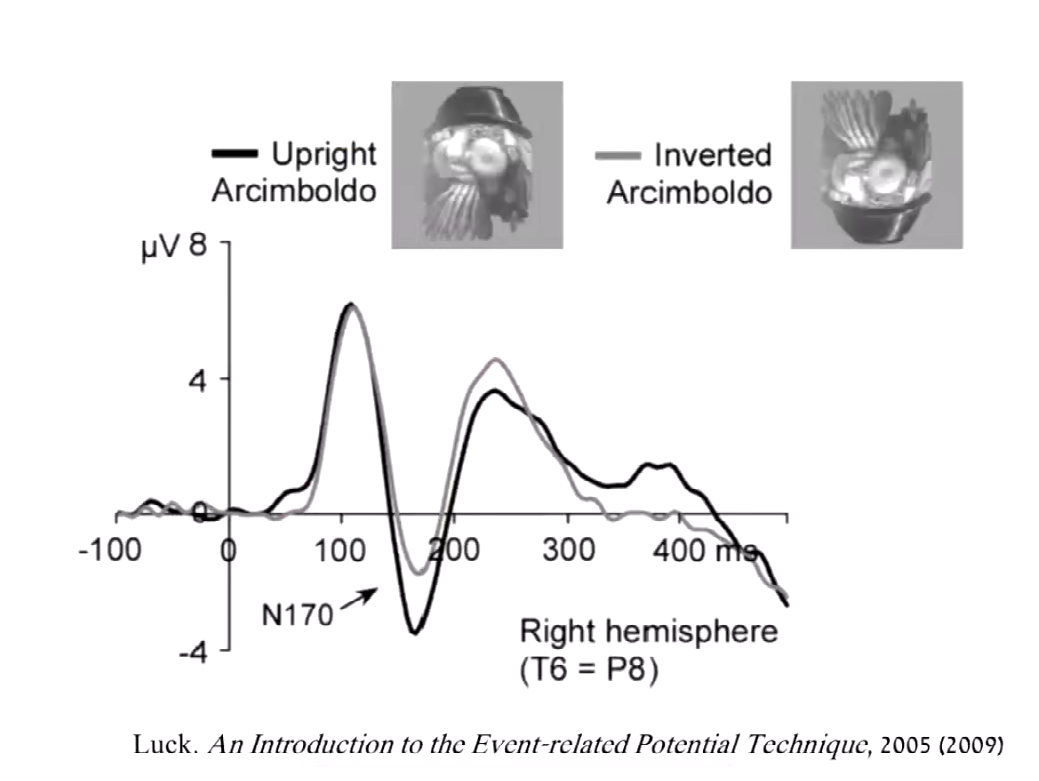 脑电实验设计的原理与实例-EEG Processing and Feature 4-CSDN博客