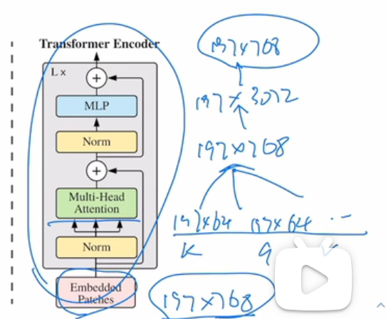 什么是VIT？-CSDN博客