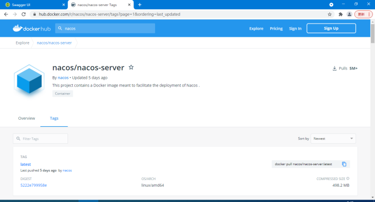 docker nacos服务管理_查询docker search nacos所有-CSDN博客