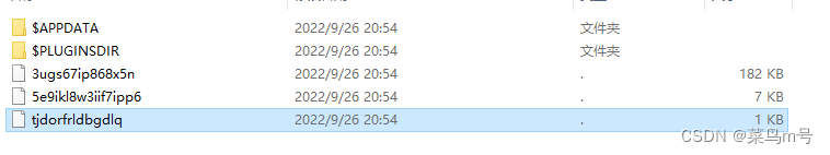分析NSIS打包的恶意软件思路和实例_nsis解包-CSDN博客