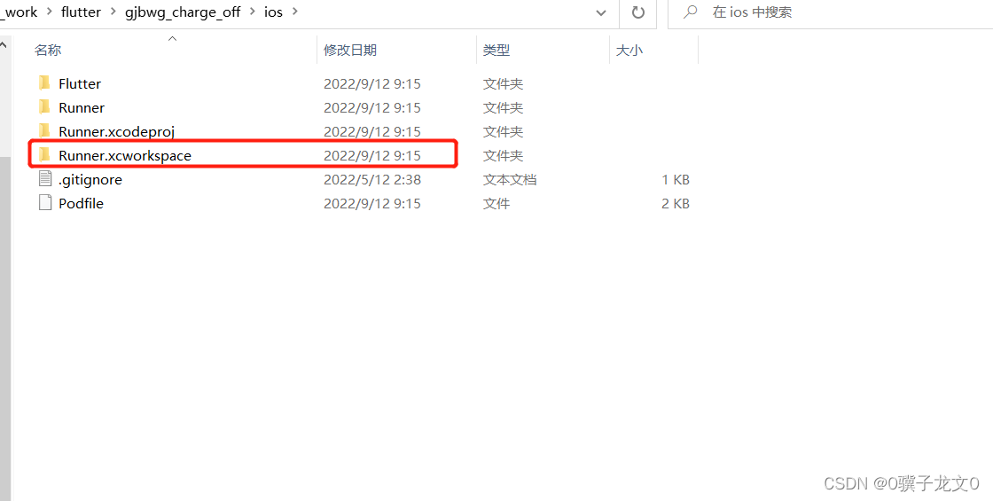 Flutter打包iOS-CSDN博客