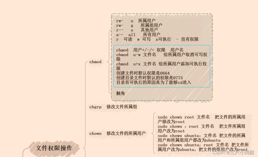 C高级day2 Csdn博客
