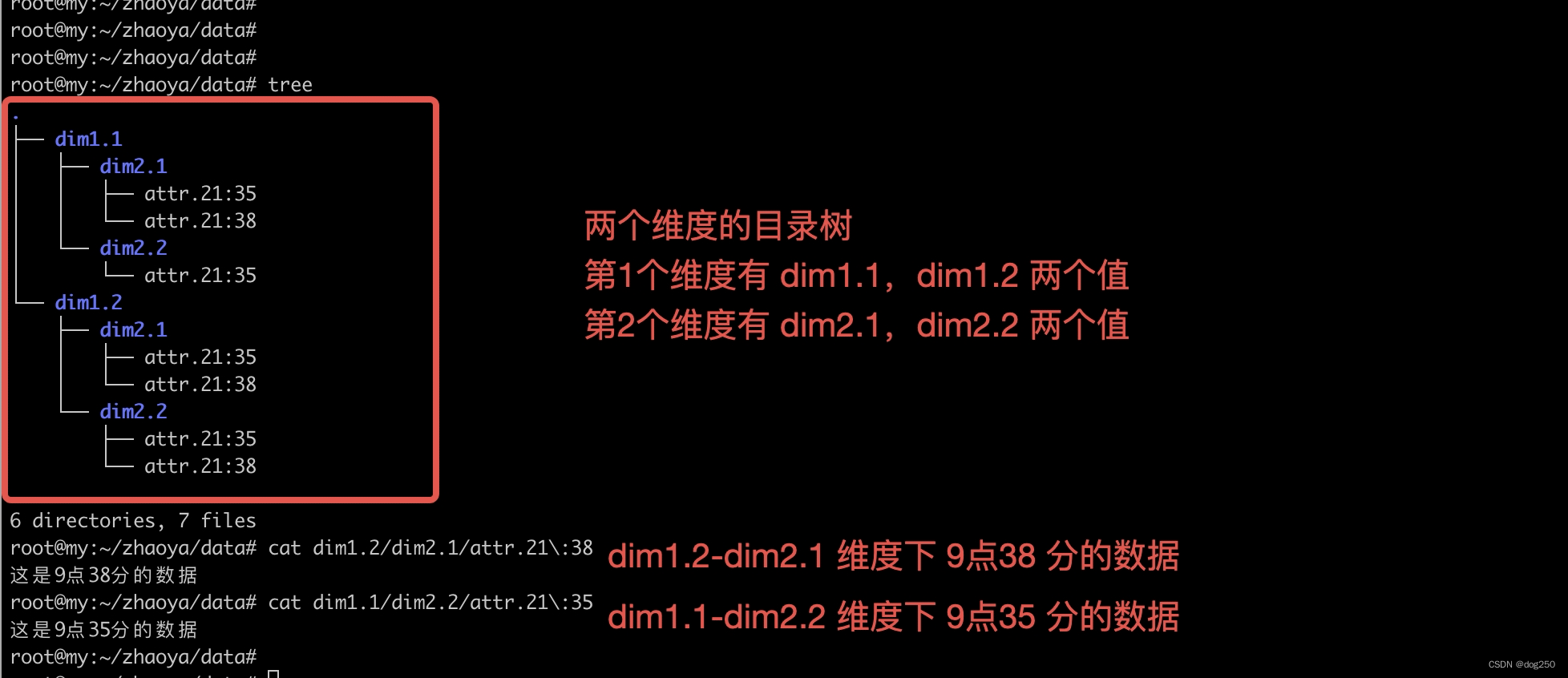  CSDN 