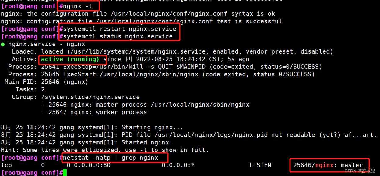 Nginx网站服务(nginx监控模块vts、nginx配置文件介绍、nginx多种访问配置)_nginx vts_芒地狠的博客-CSDN博客