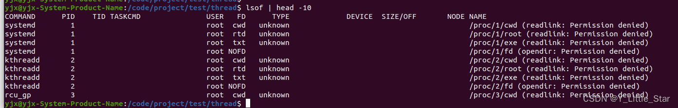 Linux下lsof命令的用法linux的lsof命令用法 Csdn博客