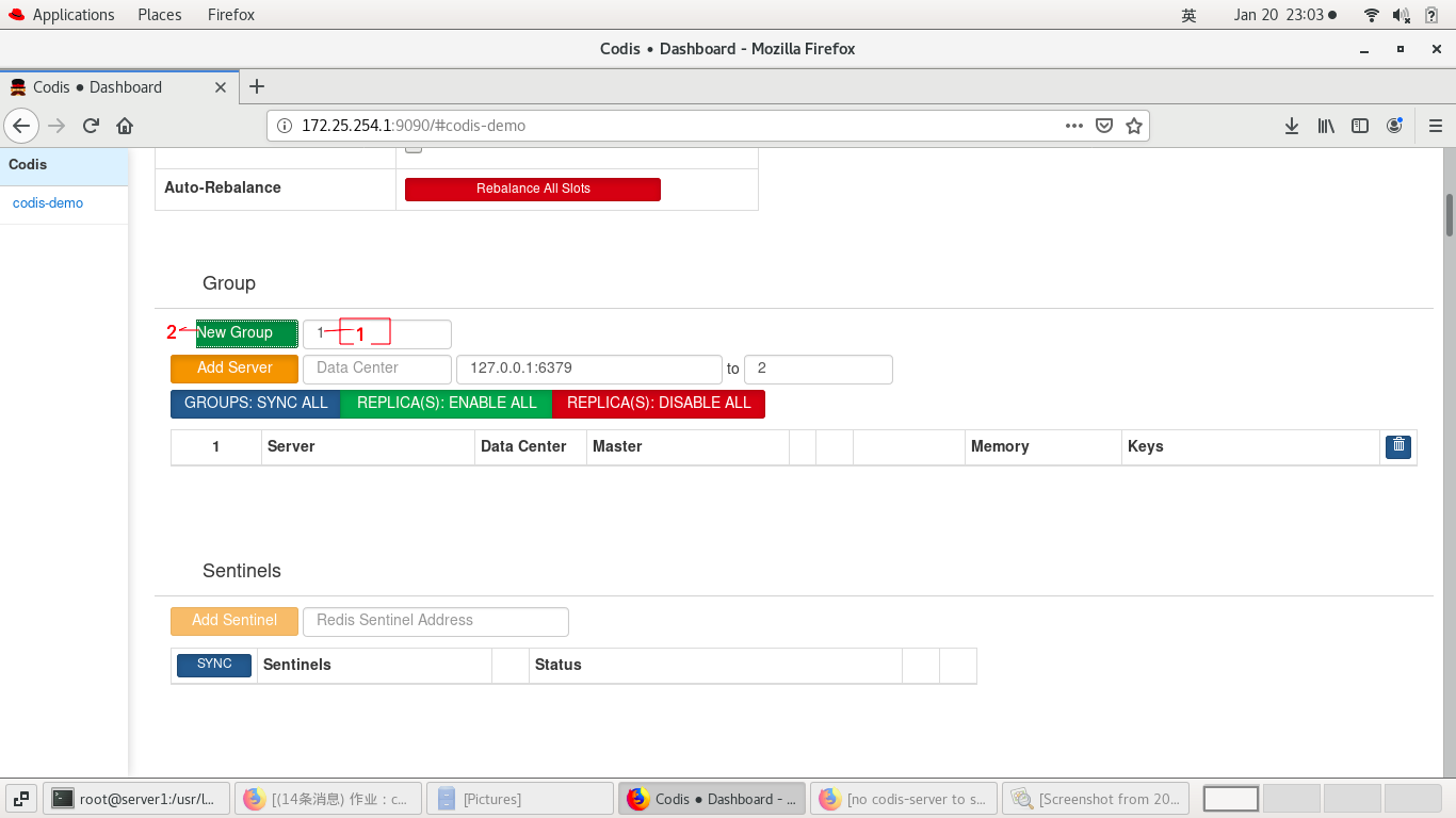 企业运维——Codis部署_codis启动-CSDN博客