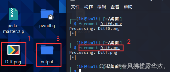 攻防世界 MISC 进阶区 Ditf_ditf misc-CSDN博客