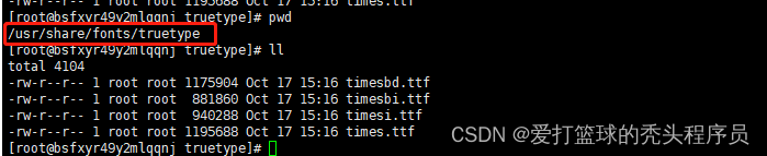 Cannot found font installed on the system_cannot found font[calibri] installed on the system-CSDN博客