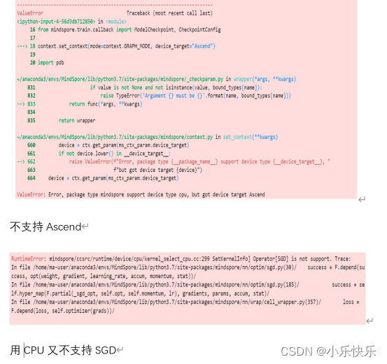 mindspore不支持Ascend与SGD的问题_mindspore sgd-CSDN博客